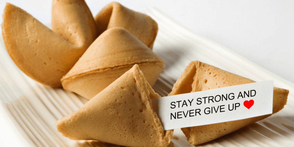 Fortune cookies and their journey with Rockoly